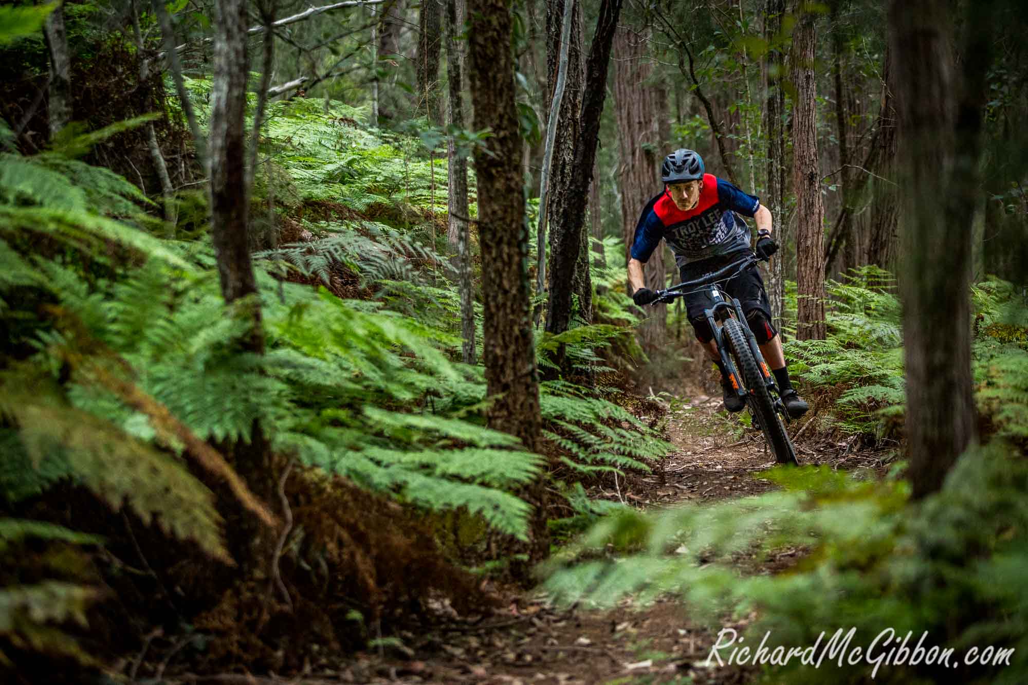 Scott Graham: Mountain Biker - Richard McGibbon Photography